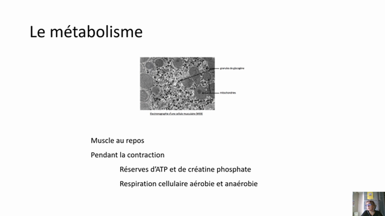 POD - Cours Physiologie De L'Effort - La Fonction