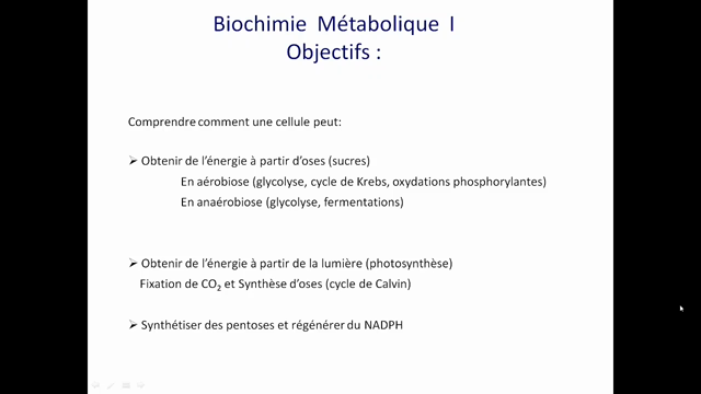 POD - Video Intro Cours Bioch Métabolique
