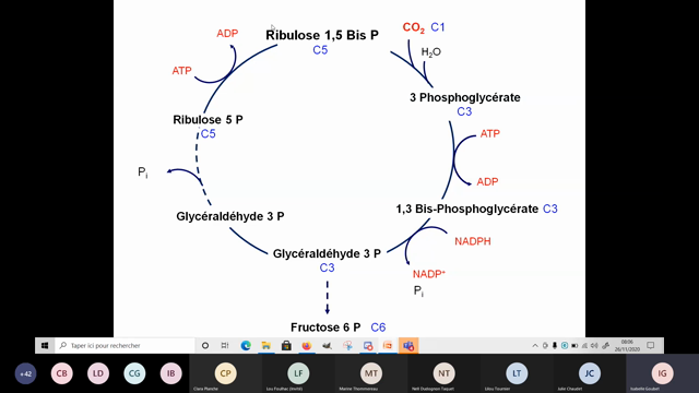 Diagramme Du Cycle De Calvin Photosynthèse, Cycle De Calvin
