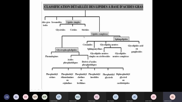 POD - Introduction Structure Des Lipides